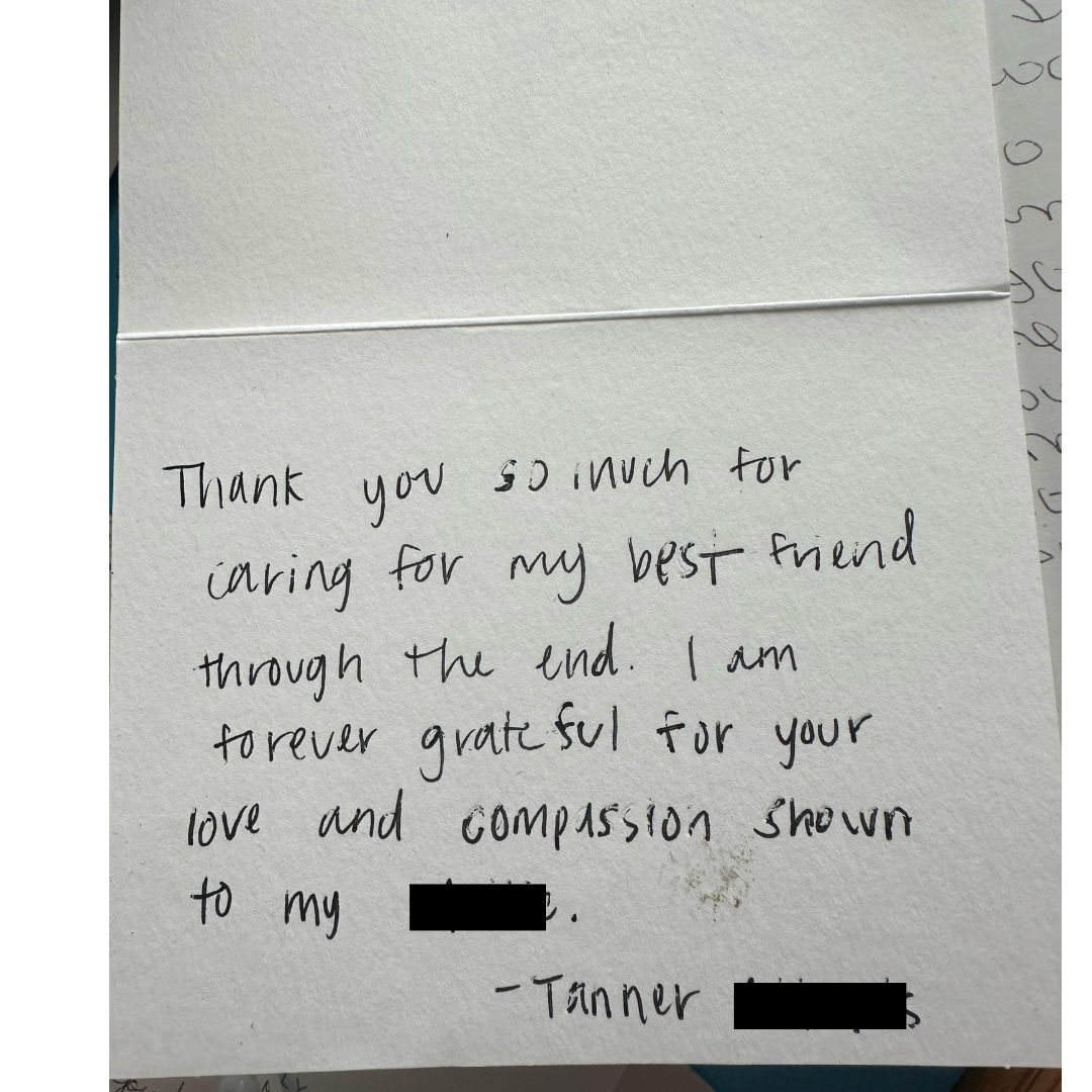 Thank You Notes - Jefferson Animal Hospital